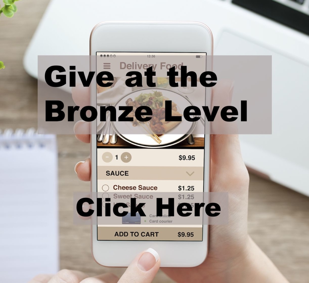 Bronze Vision Partner - Christian Leaders Institute